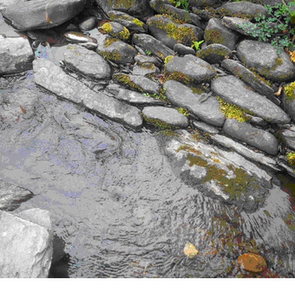 Research authored by us – Dulverton Weir & Leat Conservation Trust